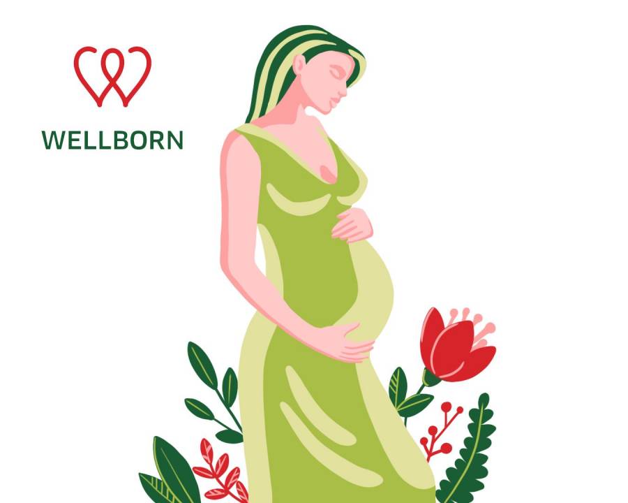 Subprogram National FIV si ET. Fonduri disponibile la Wellborn